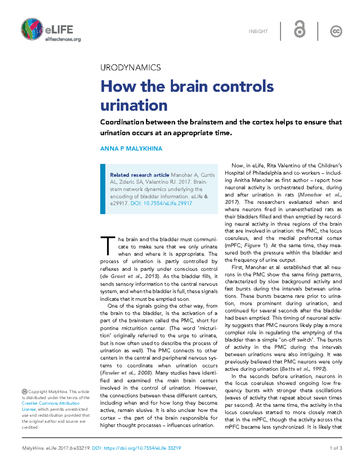 How the brain controls urination - moczenie, mikcja - URODYNAMICS How ...