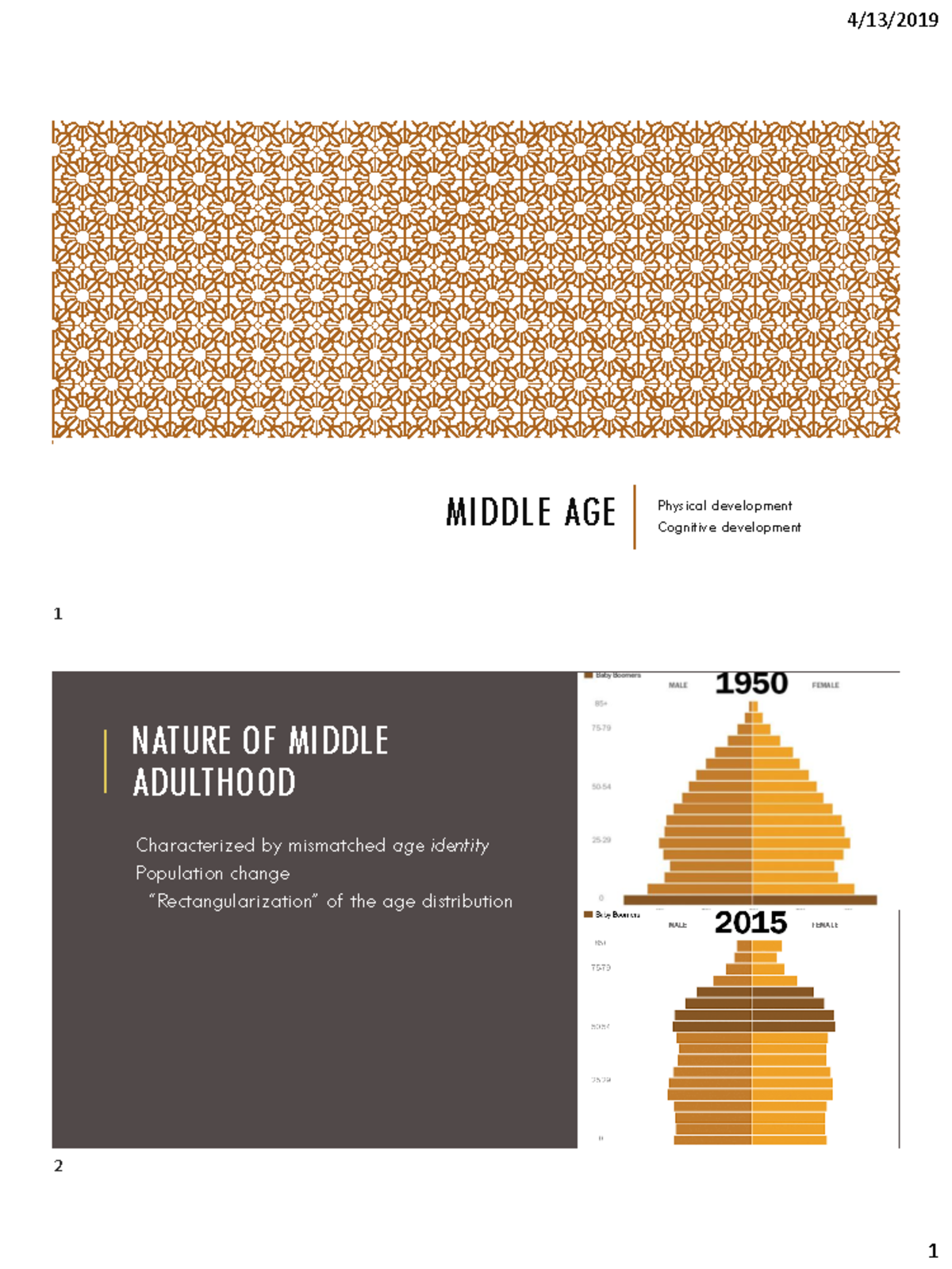 Cognitive Development Middle Adulthood - MIDDLE AGE Physical ...