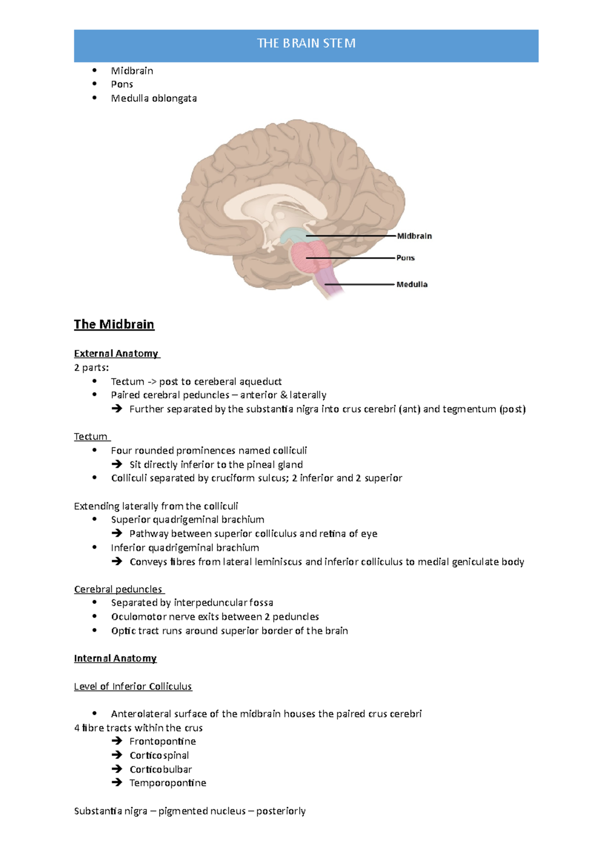 The Brain Stem - Dr Harriet Schellekens - Midbrain Pons Medulla ...