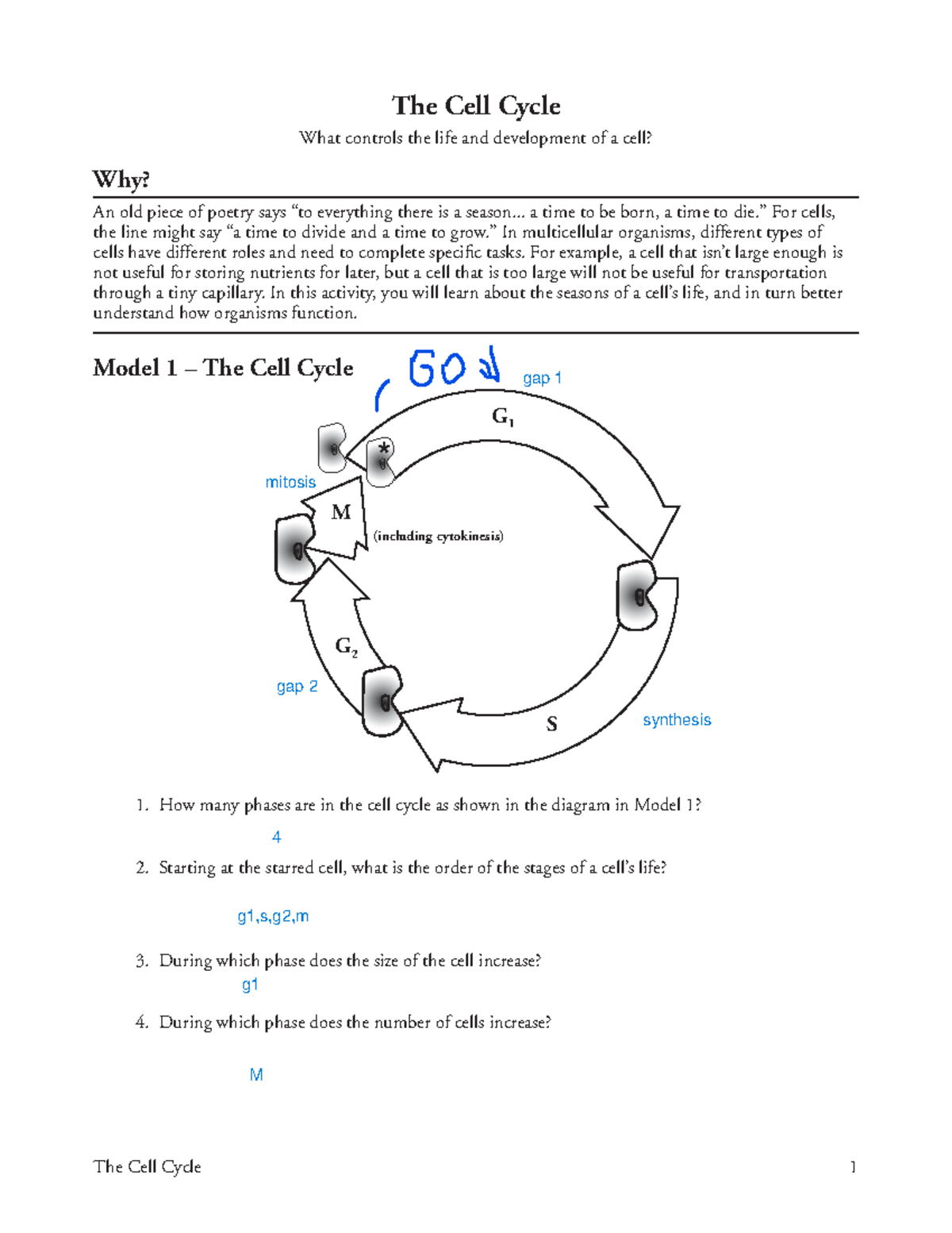 Coach ligon cell cycle 10 - The Cell Cycle 1 The Cell Cycle What ...
