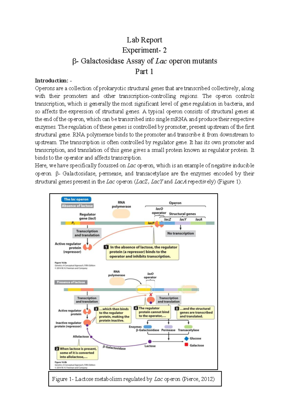 6161 Lab Report 2 - practical - Lab Report Experiment- 2 b ...