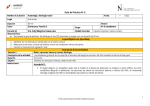 Primer Examen DE Estructura Y Funcion Humana 2 - PRIMER EXAMEN DE ...