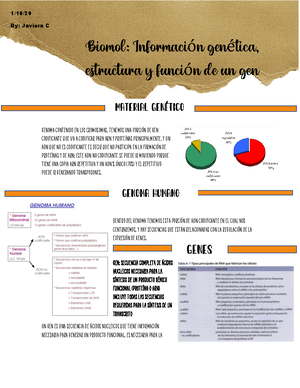Pgem t and pgem t easy vector systems quick protocol - RápidoPROTOCOLO ...