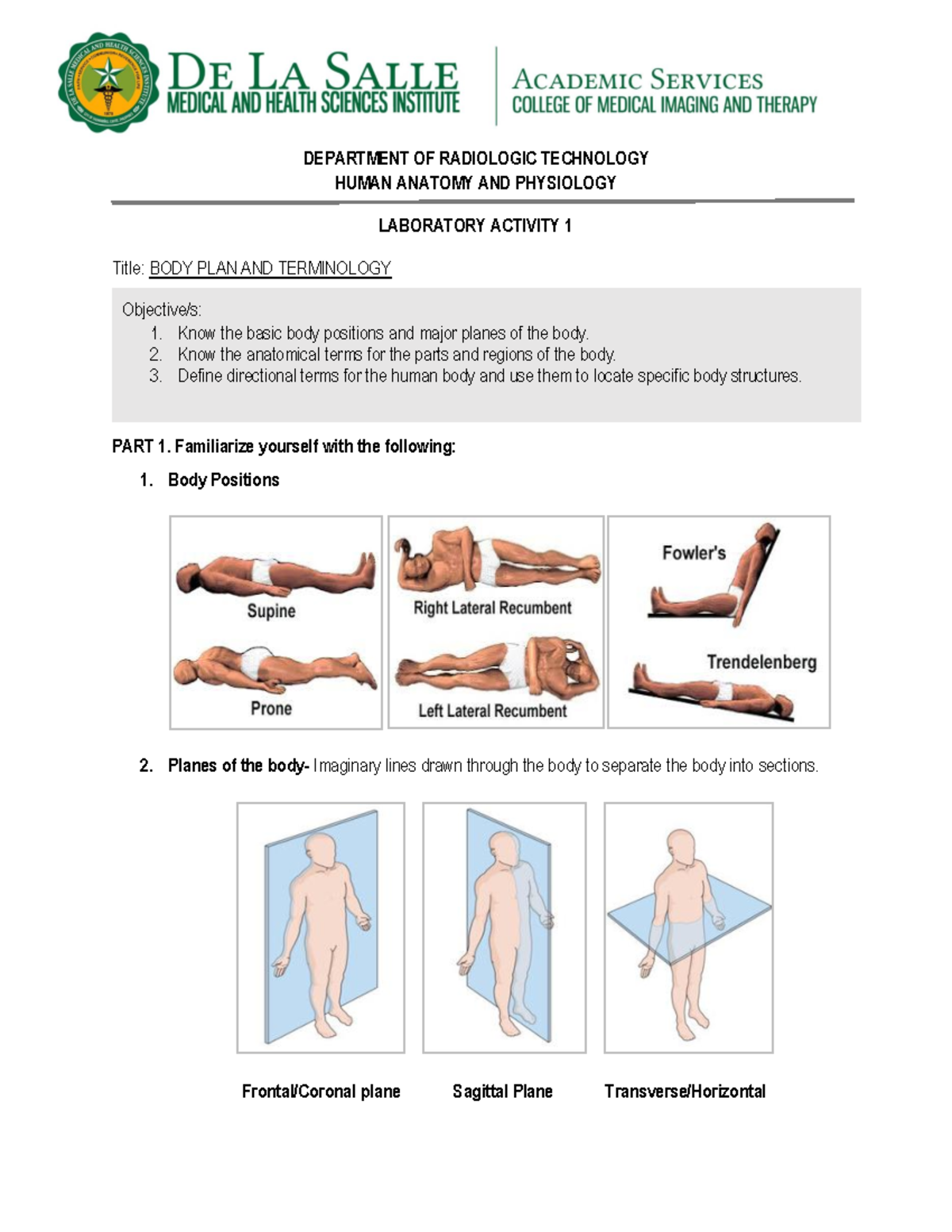 Terminology and the Body Plan - DEPARTMENT OF RADIOLOGIC TECHNOLOGY ...