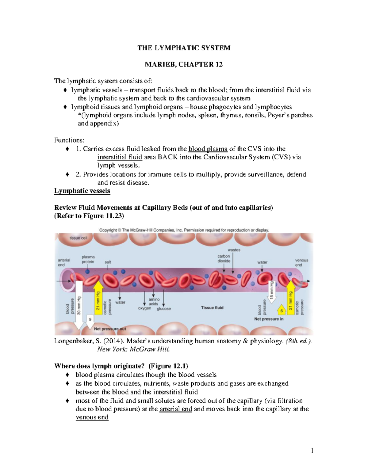 ANAT113 Lymphatic system week 8 - THE LYMPHATIC SYSTEM MARIEB, CHAPTER ...