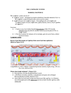 ANAT113Muscular System Week 4 - THE MUSCULAR SYSTEM Marieb, Chapter 6 ...