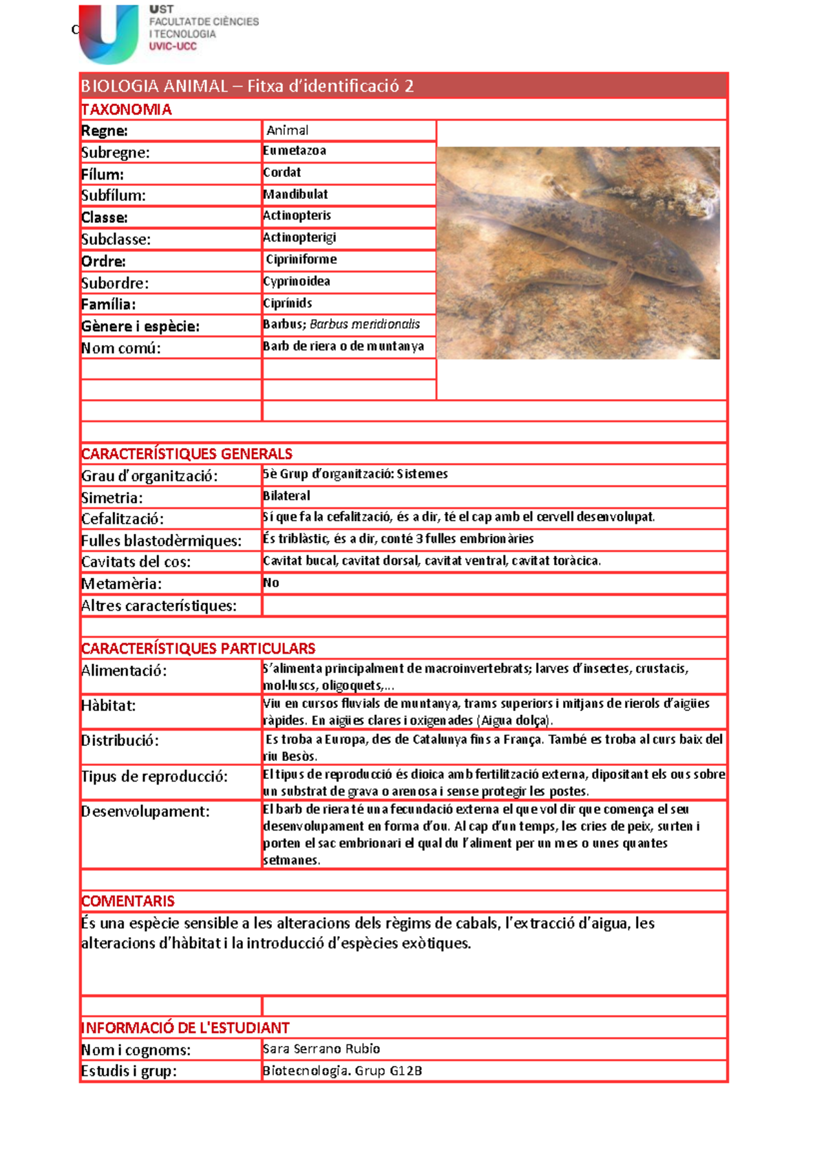 Fitxa identificacio 2 - Biologia Animal - Curs 2020- BIOLOGIA ANIMAL ...