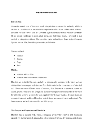 Summary 1a - example of summarizing assignment. - Custom Solutions Prevail Over a One-Size-Fits ...