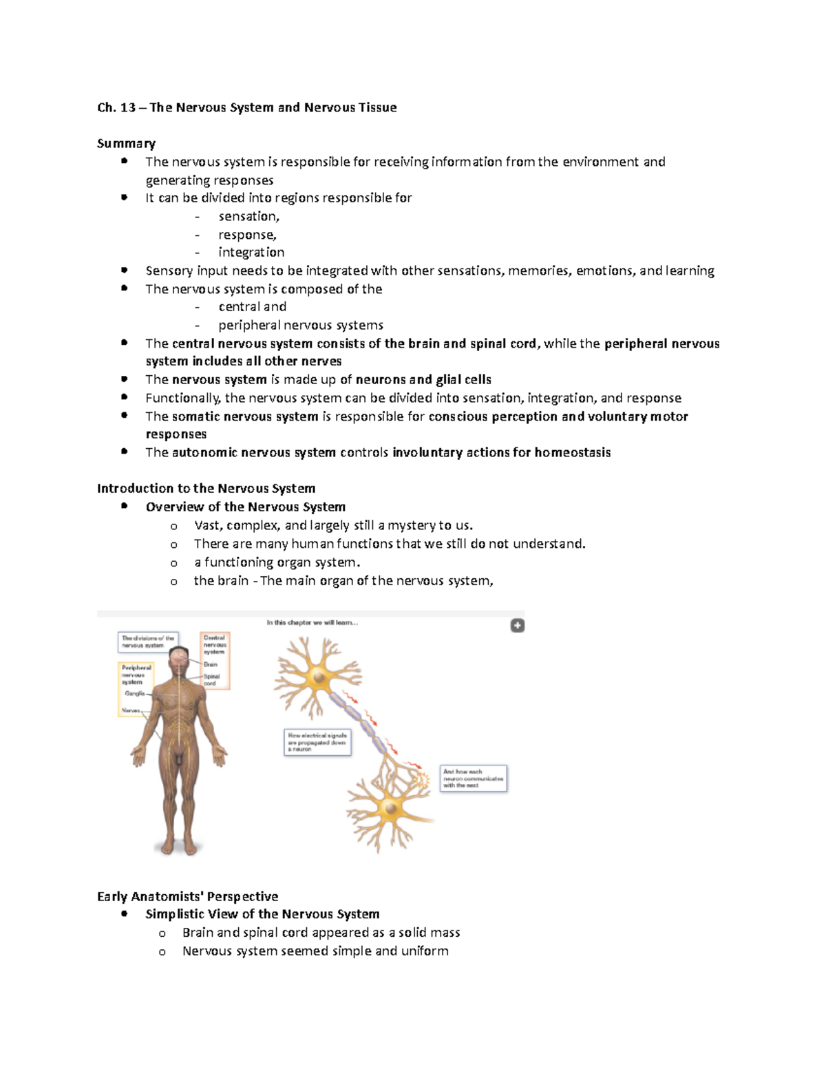 Ch. 13 - Functions of the Nervous System - Ch. 13 – The Nervous System ...