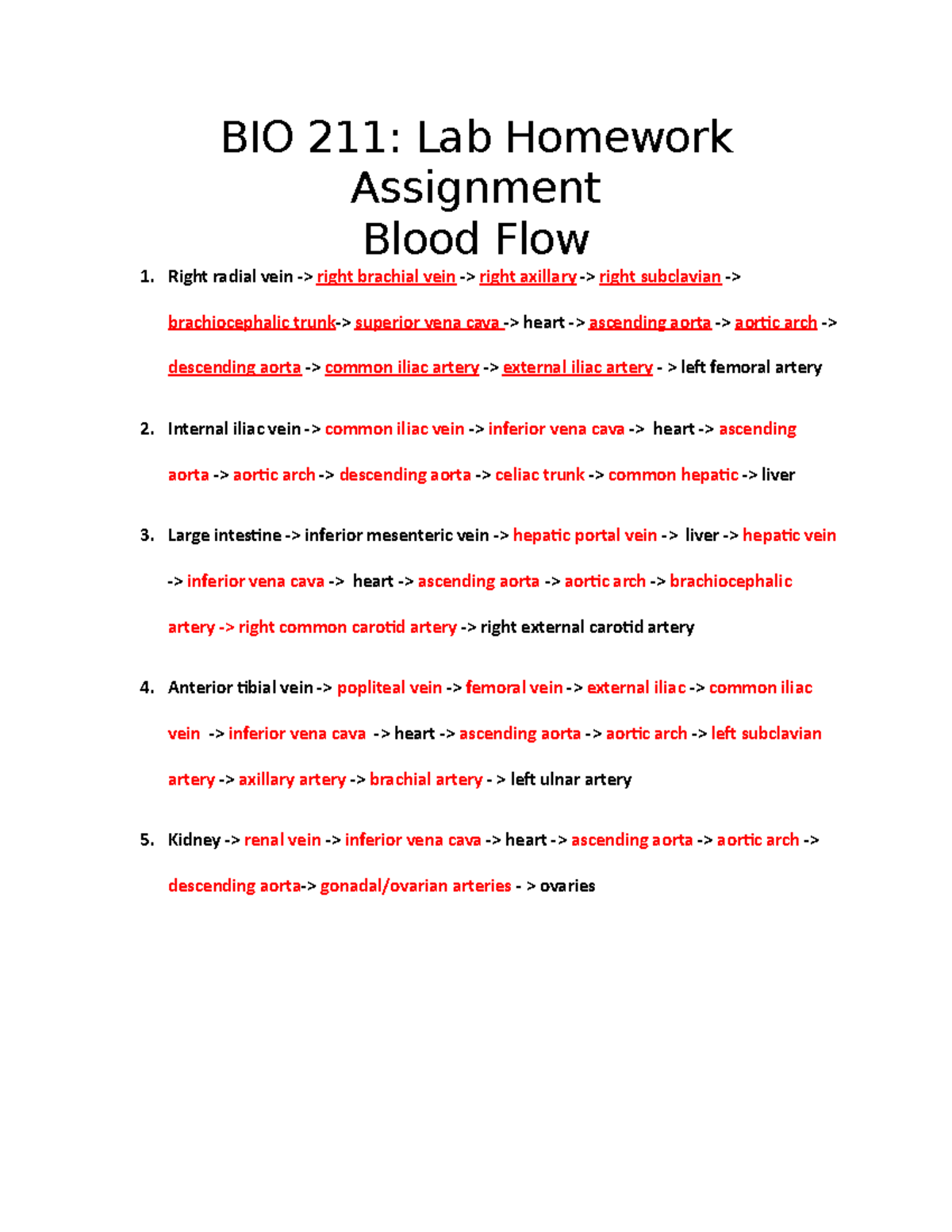 Lab HW - Blood Flow KEY-1 - BIO 211: Lab Homework Assignment 1. Right radial vein -> right - Studocu