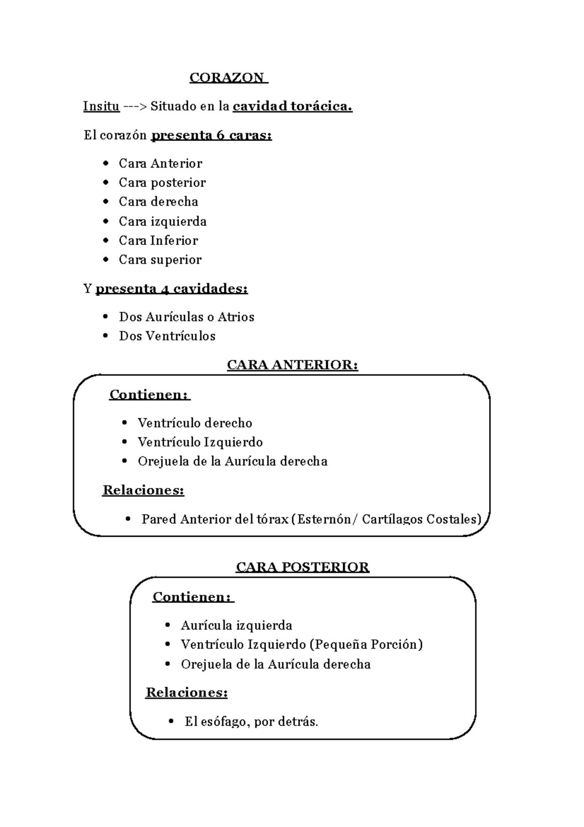 Corazon - CORAZON Insitu -> Situado en la cavidad torácica. El corazón ...