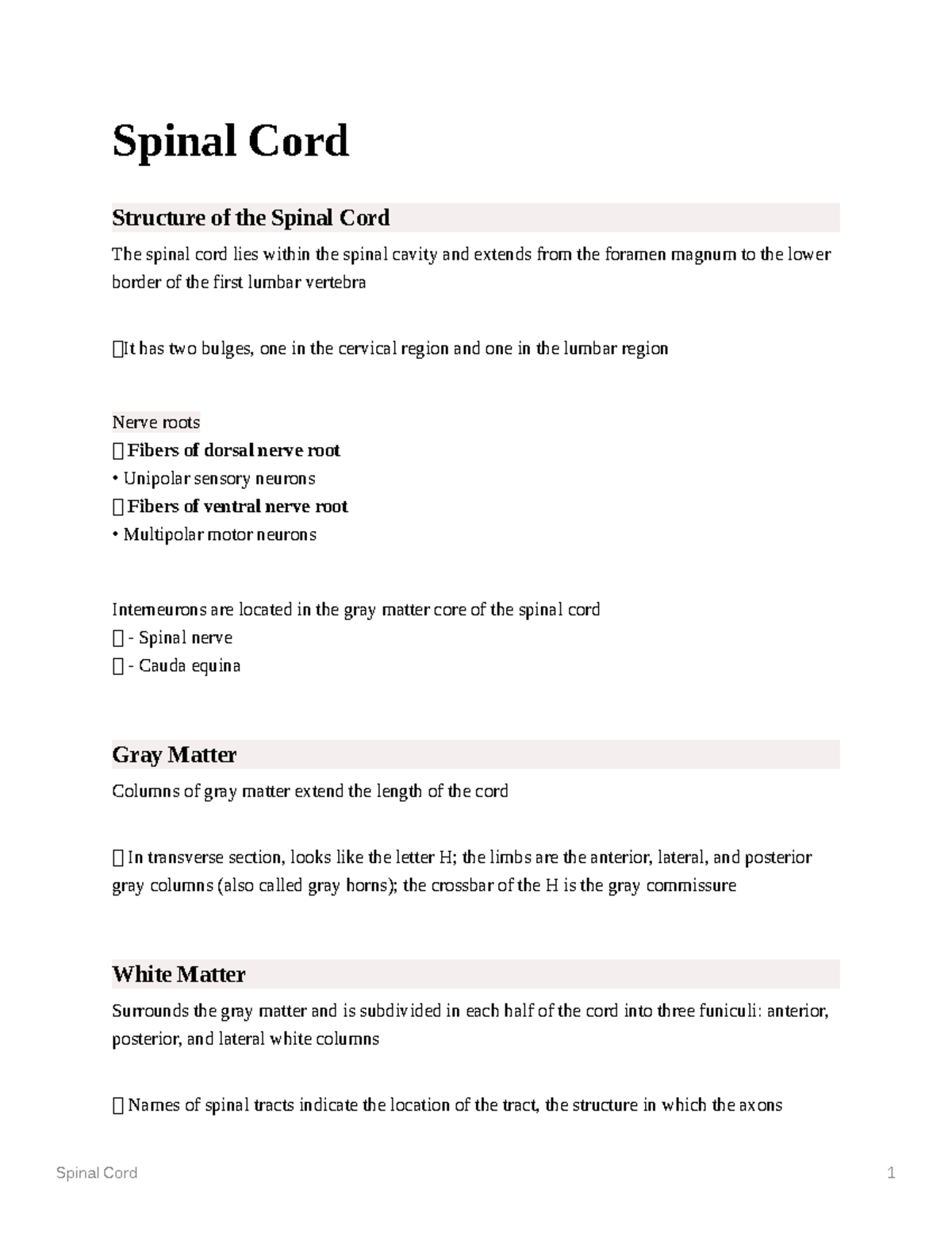 Spinal Cord - Studocu