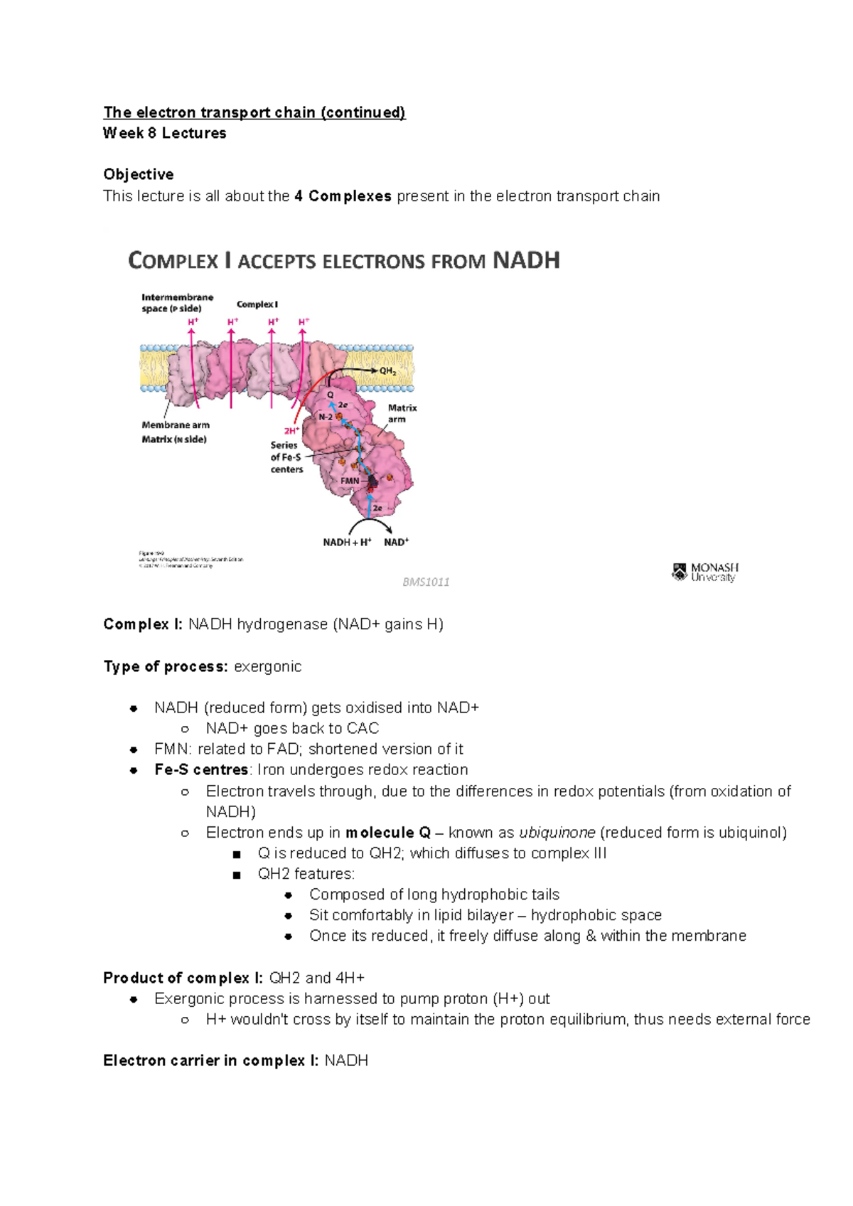 ETC and Oxidative Phosphorylation - The electron transport chain ...