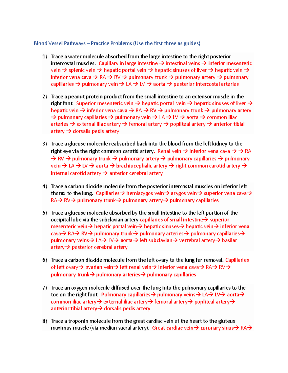 Pathway Worksheet - Blood Vessel Pathways – Practice Problems (Use the ...