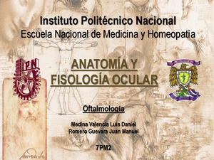 Tuberculosis - El huÈsped humano act ̇a como reservorio natural de M ...