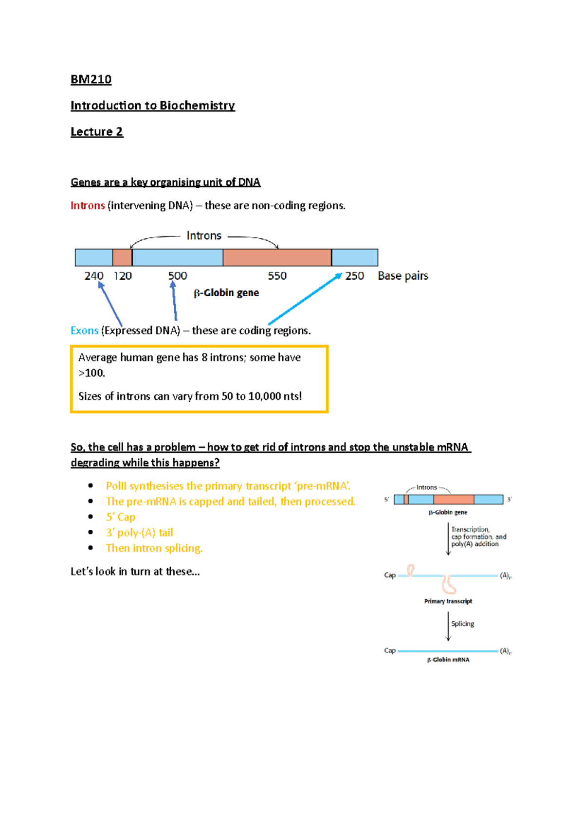 Lecture 2 - BM210 - Strath - Studocu