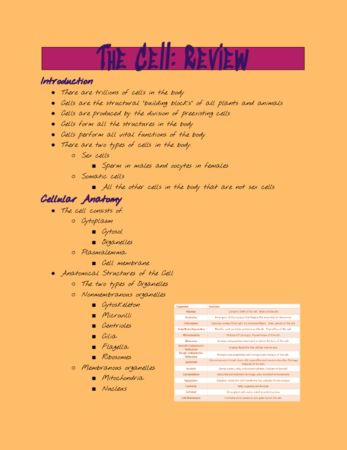 The Cell Review - Chapter 2 - Introduction There are trillions of cells ...