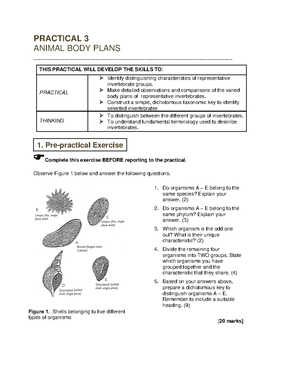 2024 BIOL196P0 Practical 03 Animal body plans student - PRACTICAL 3 ...