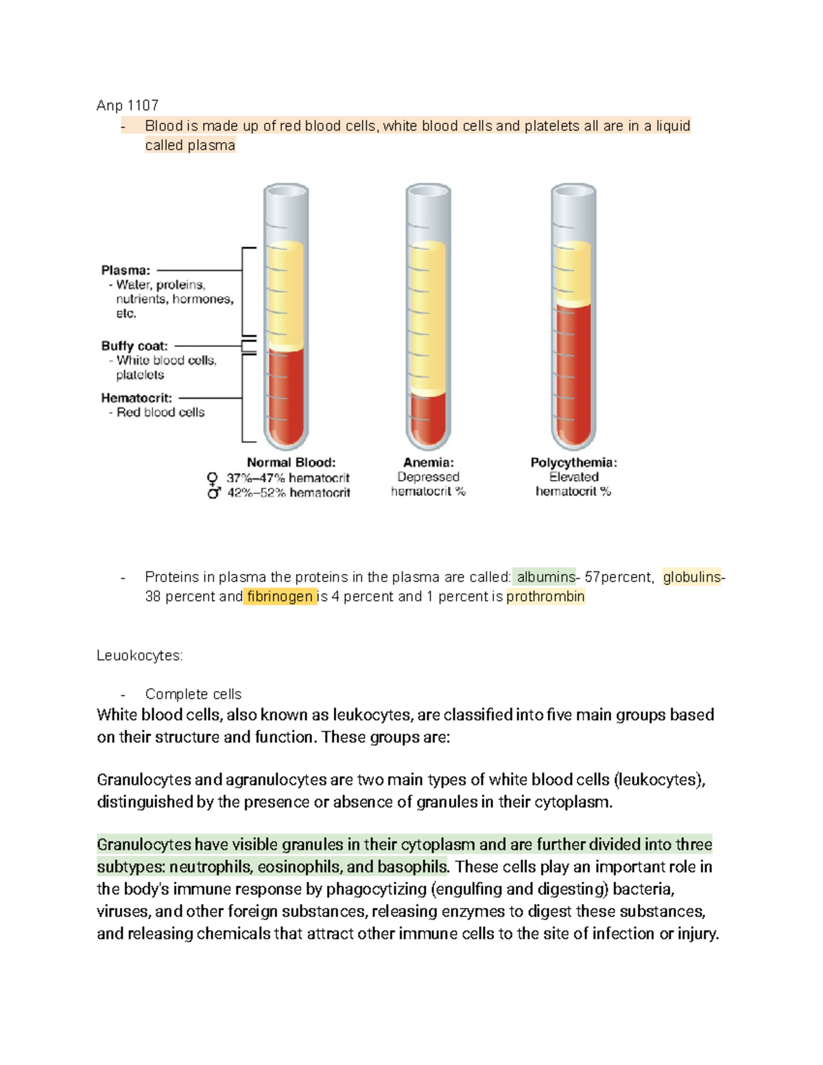 Anp 1107 - anatomy - Anp 1107 - Blood is made up of red blood cells ...