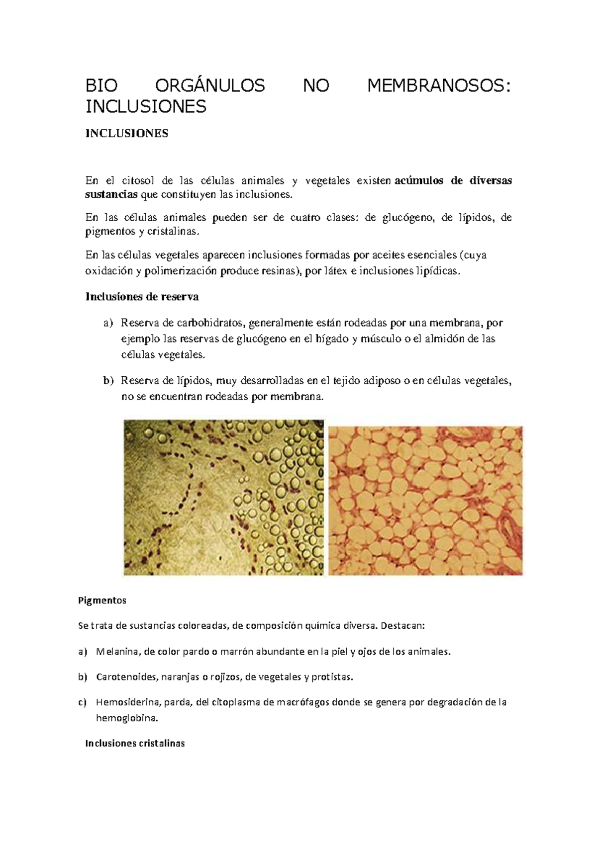 BIO Inclusiones - BIO ORGÁNULOS NO MEMBRANOSOS: INCLUSIONES INCLUSIONES ...