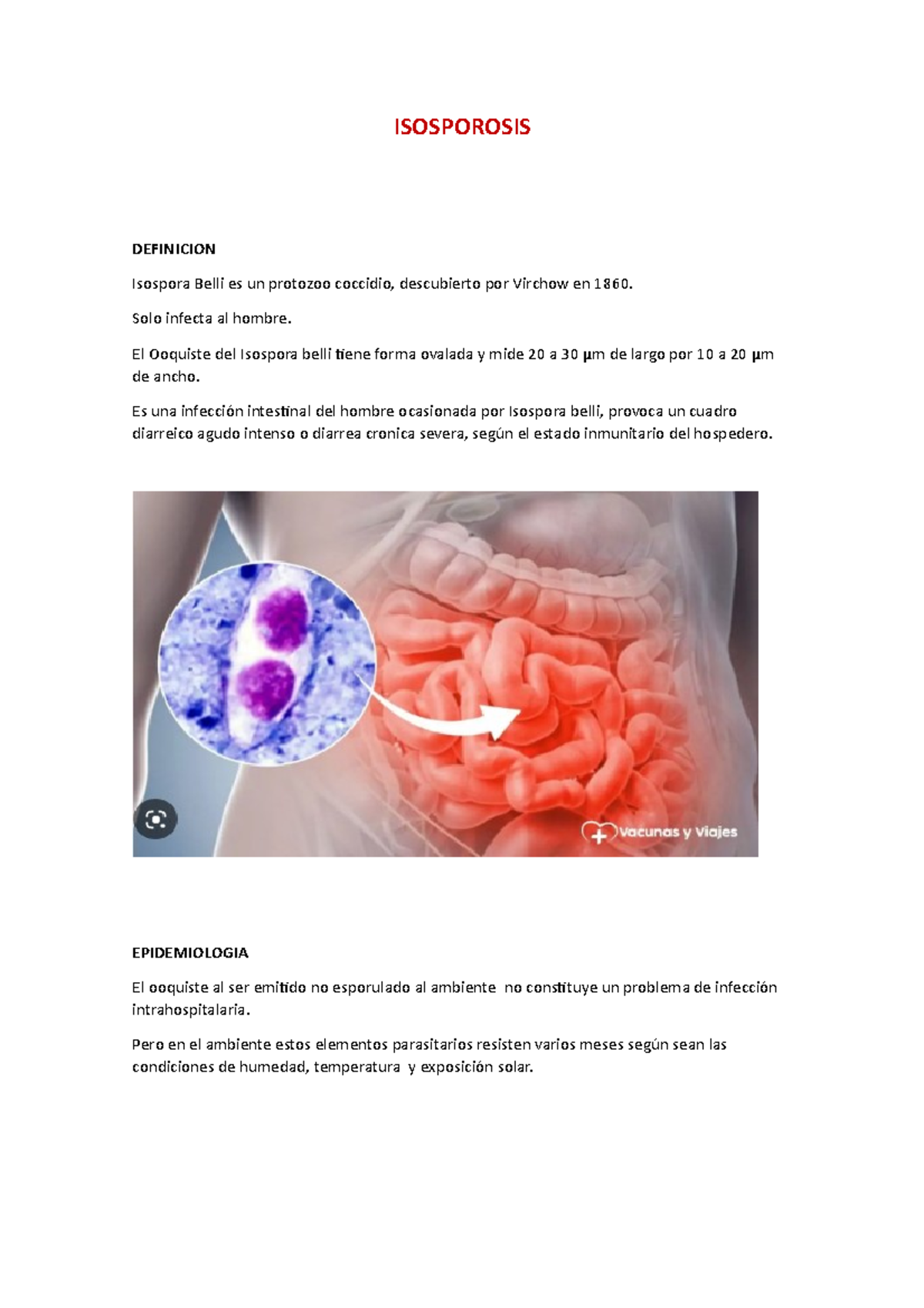 Isosporosis - parasito que afecta al intestino grueso - ISOSPOROSIS ...