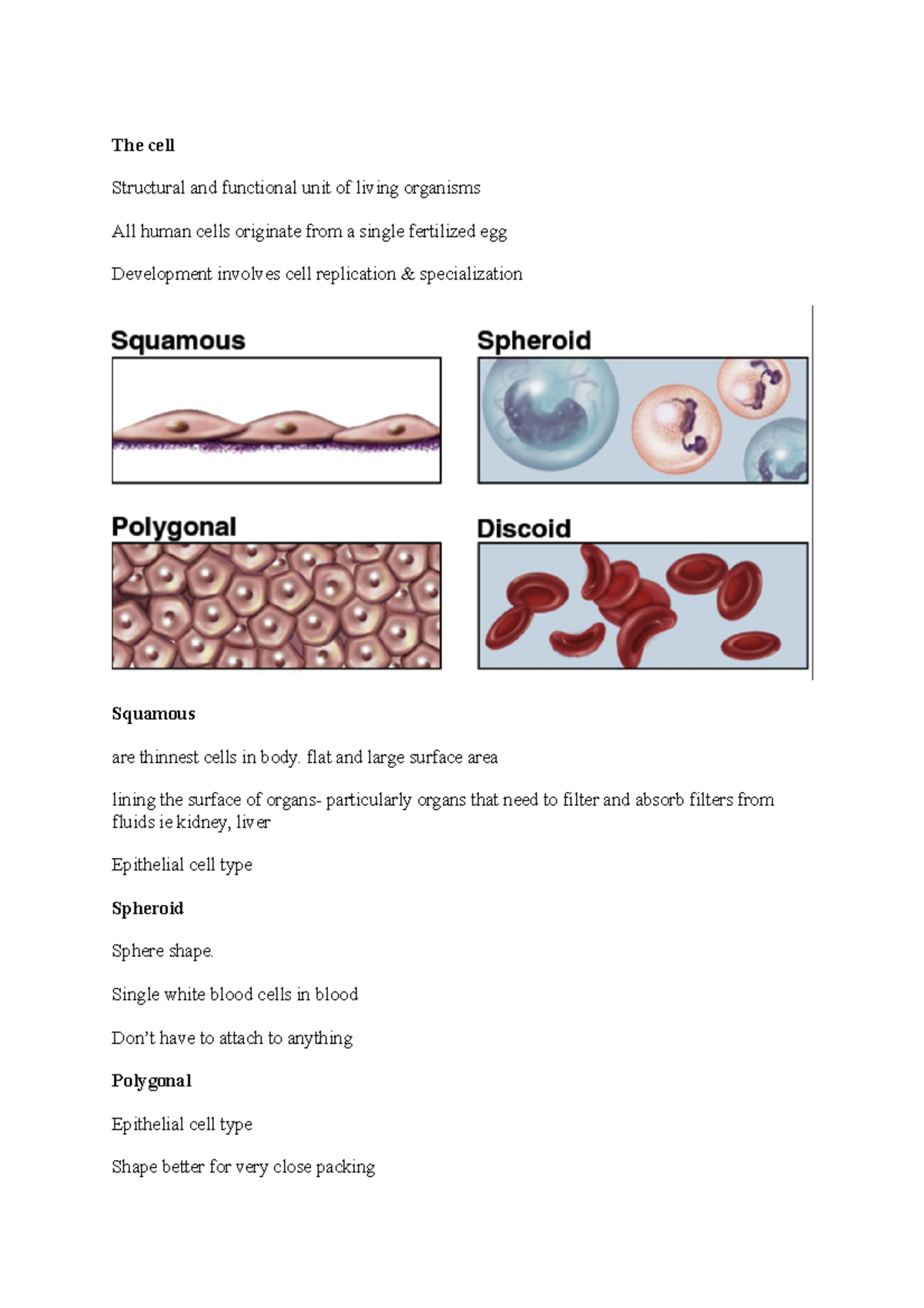 Anhb1101 lecture 12 notes - The cell Structural and functional unit of ...