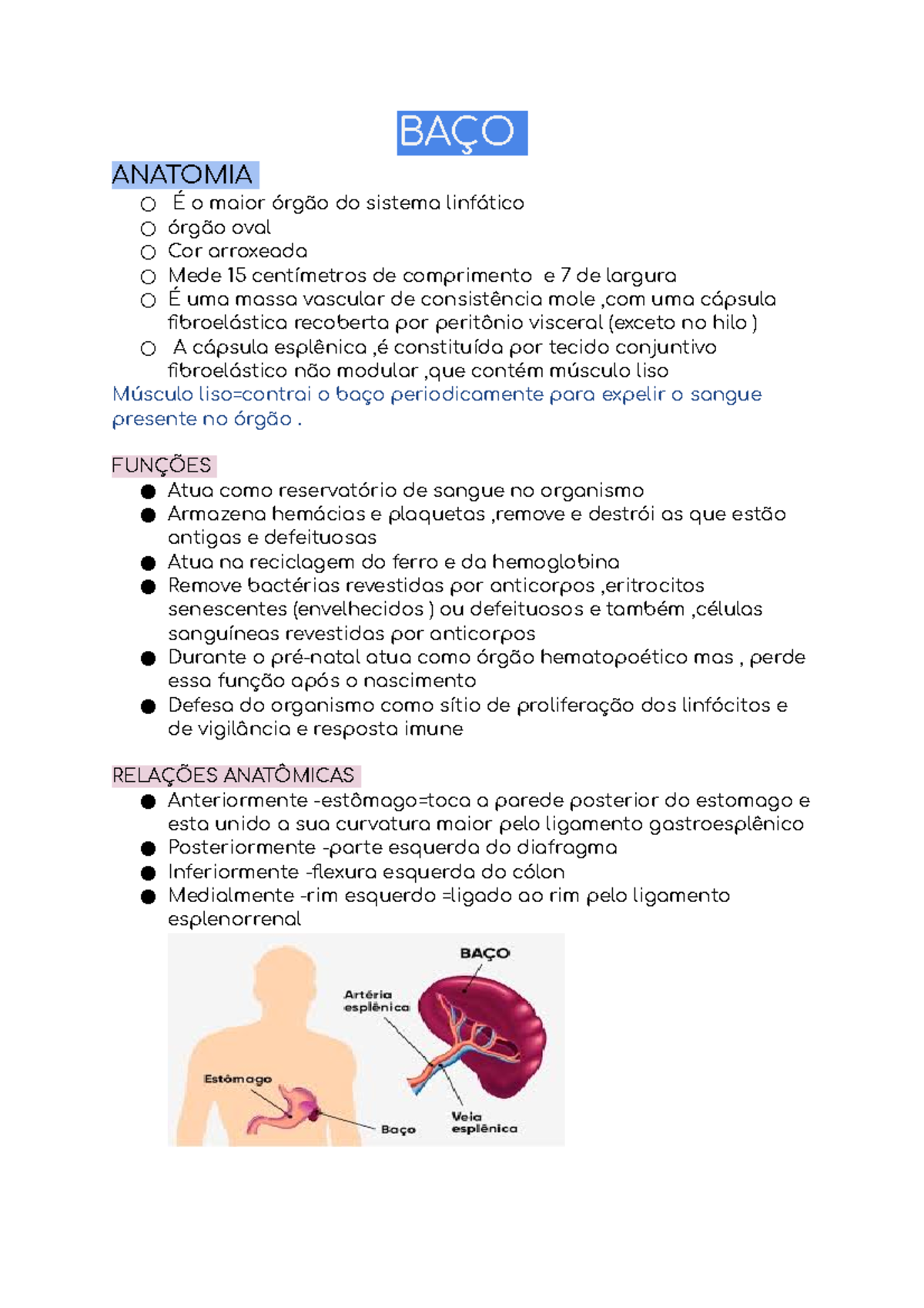 BAÇO - baço - BAÇO ANATOMIA É o maior órgão do sistema linfático órgão ...