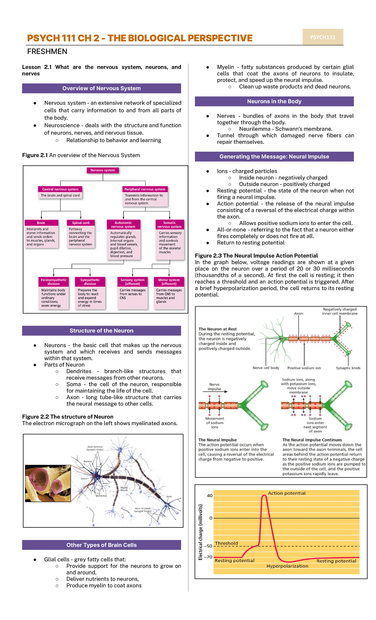 Psych 111 CH 2 - Chapter 2 - PSYCH 111 CH 2 - THE BIOLOGICAL ...