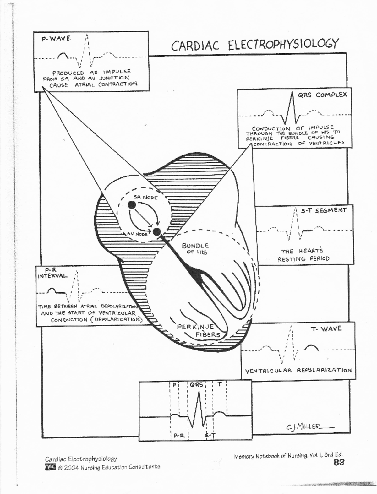 Cardiac Electrophysiology - CARD IAC ELECIROPHYSIOLO6Y ^ ,l'i' pRoDucED ...