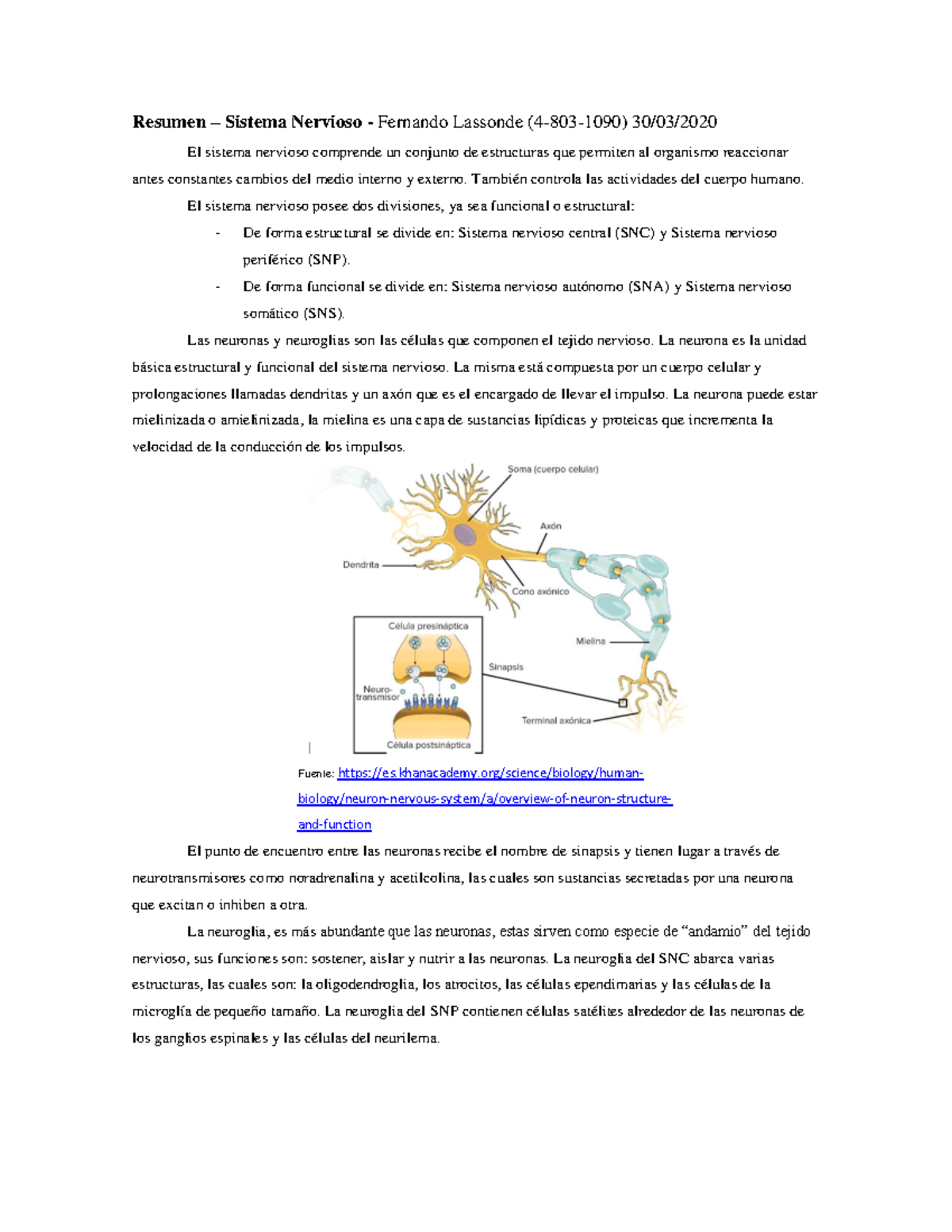 Resumen - Sistema Nervioso - Warning: TT: undefined function: 32 Resumen – Sistema Nervioso ...