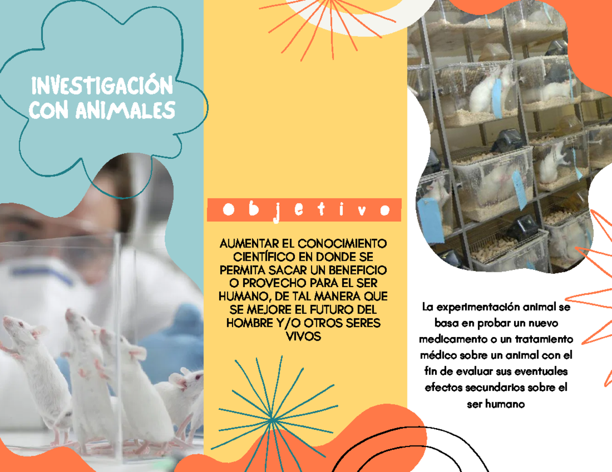 tríptico de estudios con animales - AUMENTAR EL CONOCIMIENTO CIENTÍFICO ...