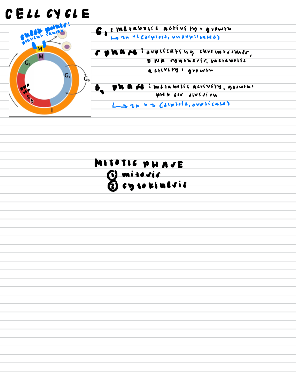 Unit 4 Cell Cycle Notes - LIFE 120 - CELLCYCLE Chec prints G ...