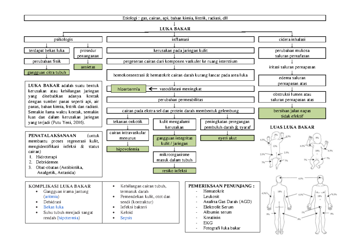 WOC LUKA Bakar - WOC - Etiologi : gas, cairan, api, bahan kimia ...