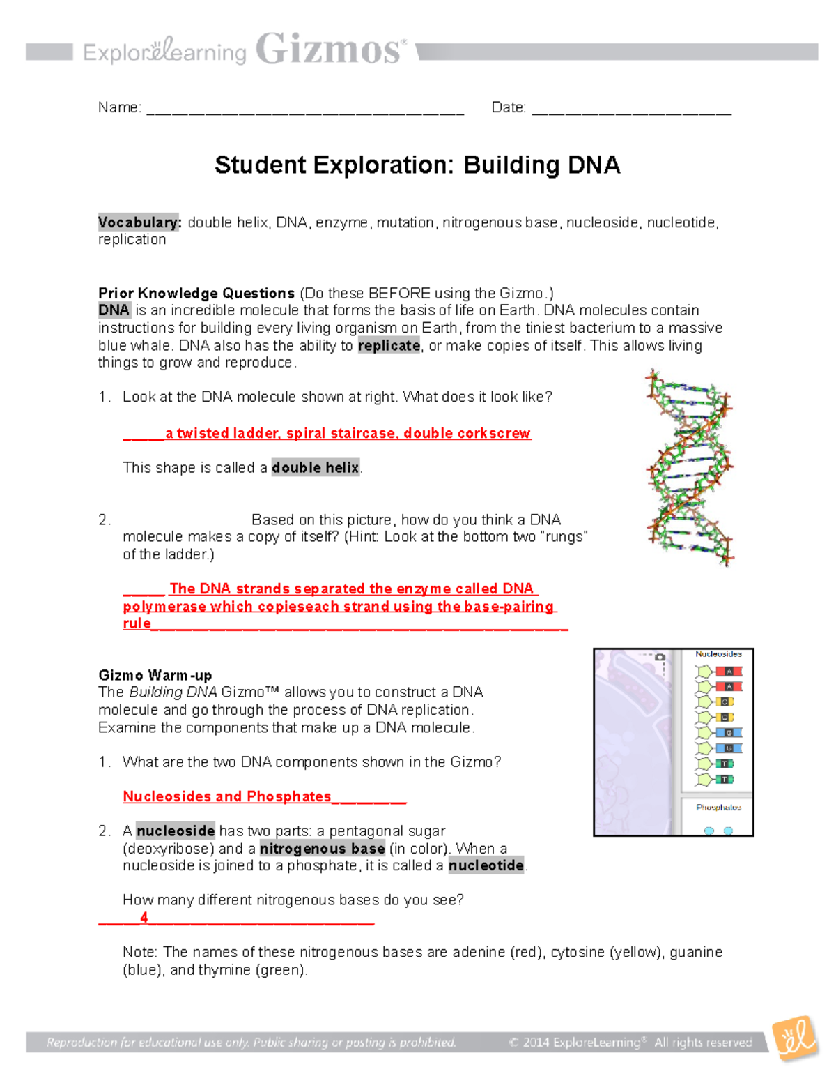 Building DNA Gizmo - 30 point assignment - Name ...