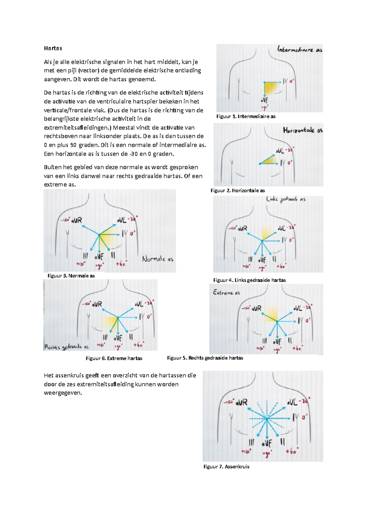 Hartas - Hartas Als je alle elektrische signalen in het hart middelt ...