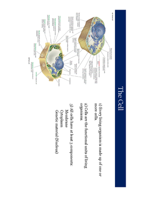 Biology Lecture Notes - a b Pearce, Ben K.; Tupper, Andrew S.; Pudritz ...