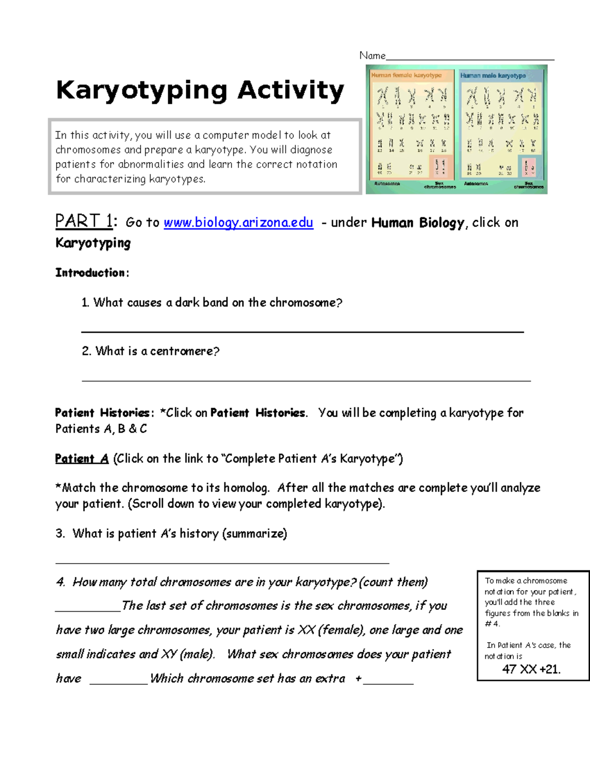 Karyotyping activity internet mp 12 fontrevmk - To make a ...