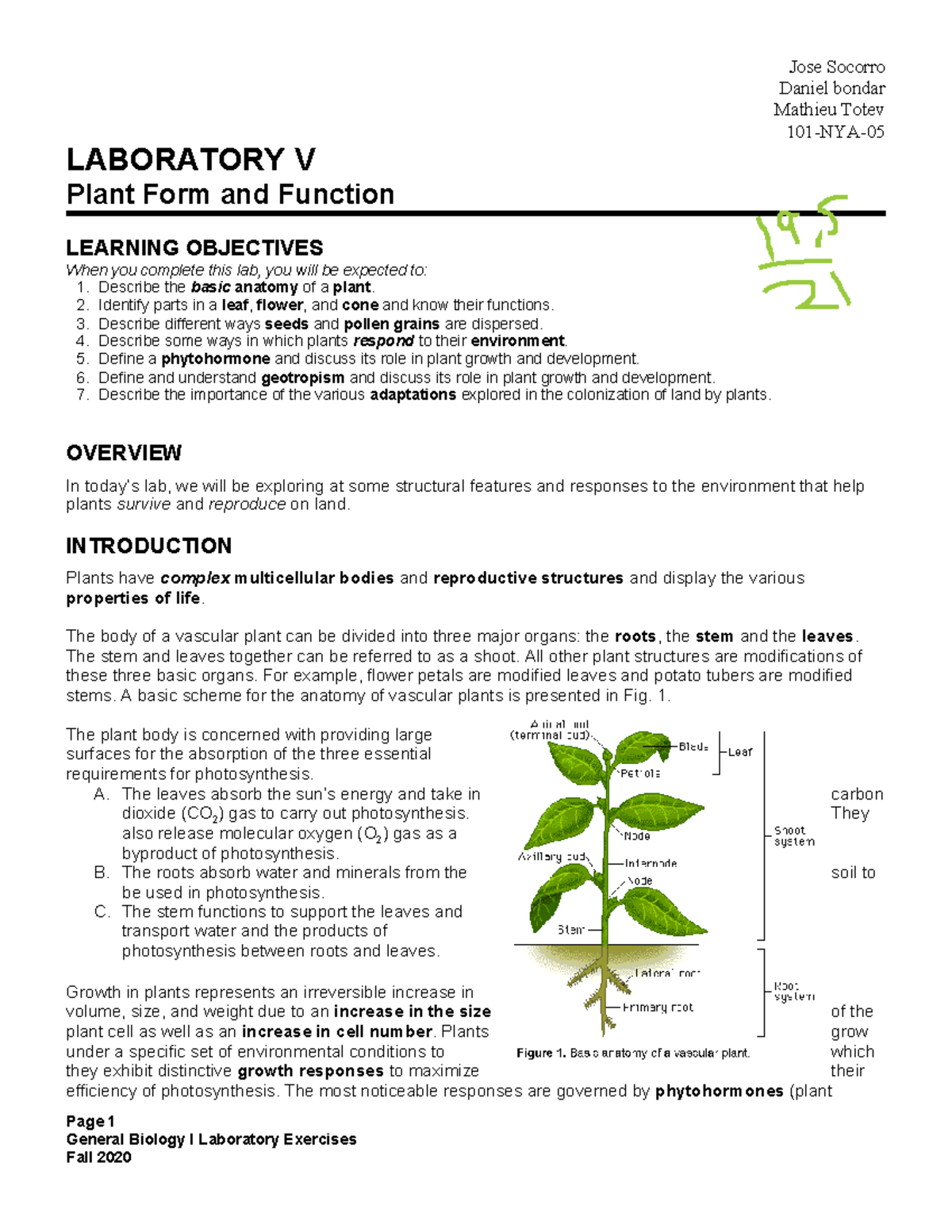 Corrected plant lab - Jose Socorro Daniel bondar Mathieu Totev 101-NYA ...