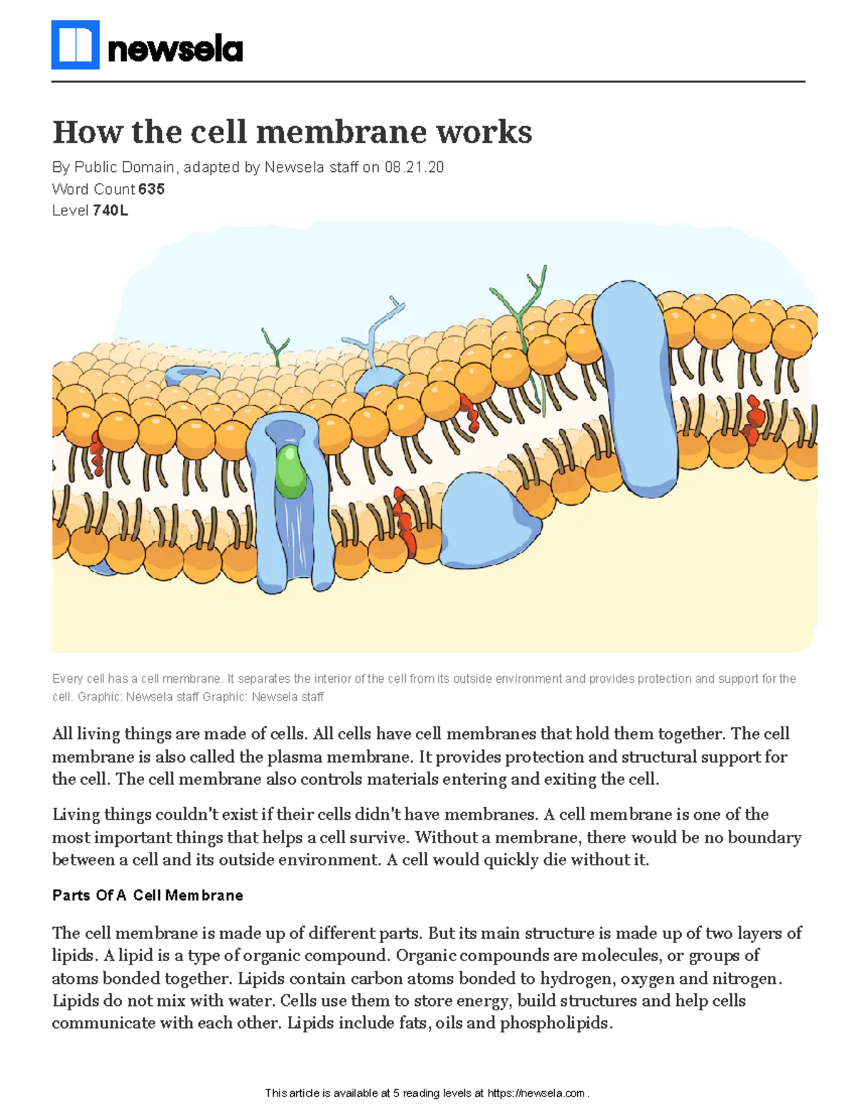 Lib-cell-membrane-explainer-2001 011234-article only - This article is ...