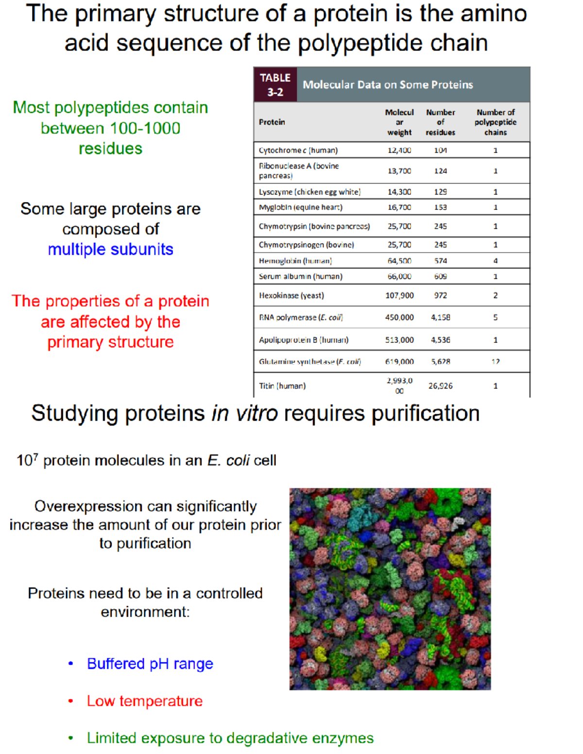 Lecture 4 Primary Structure and Protein Purification - BIO 361 - Studocu