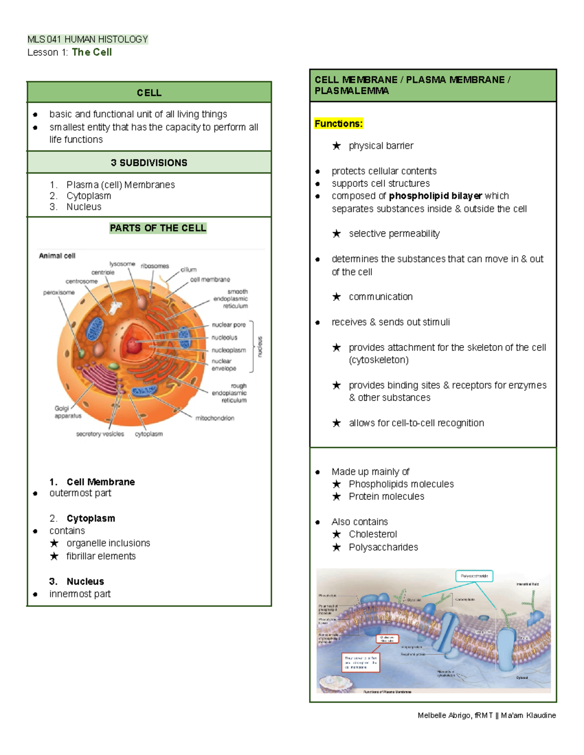 Chapter 1 the cell - Lesson 1: The Cell CELL basic and functional unit ...