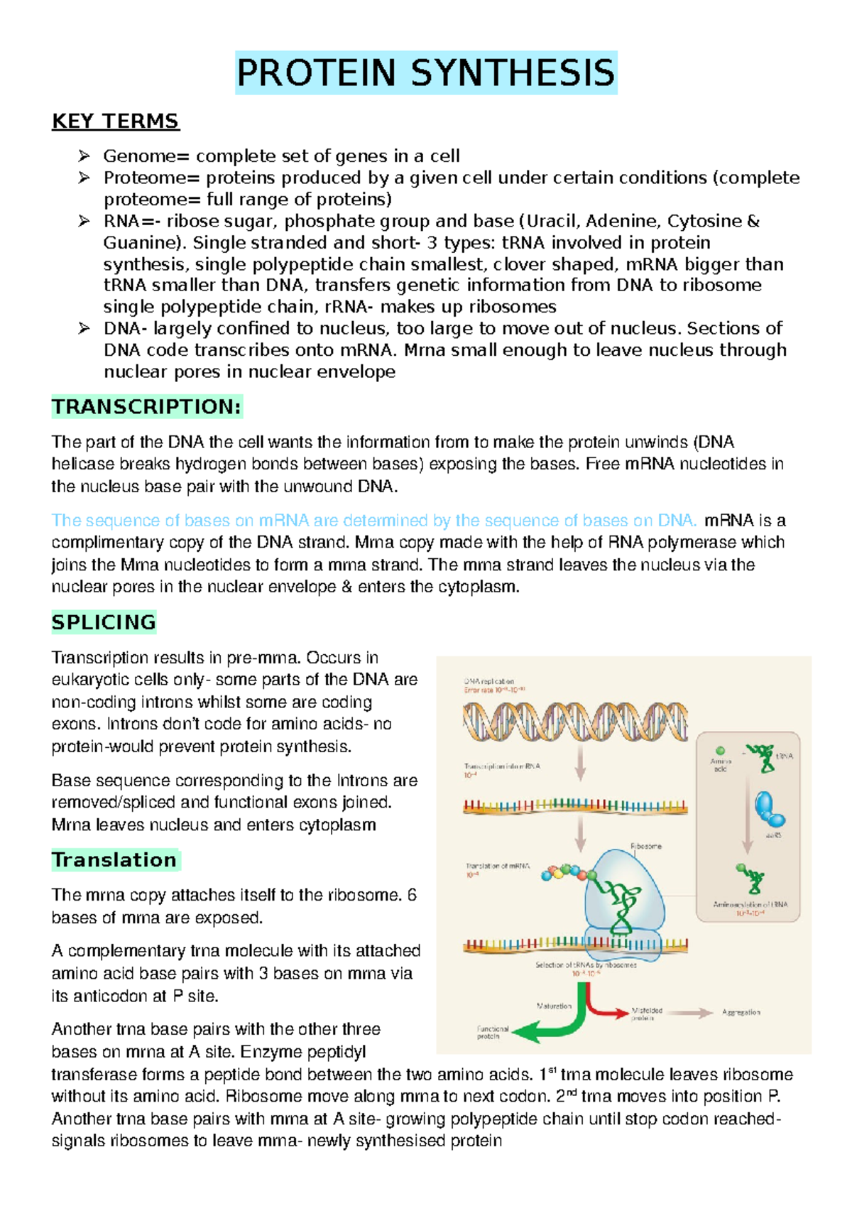 Protein Synthesis - Lecture notes 4 - PROTEIN SYNTHESIS KEY TERMS ...