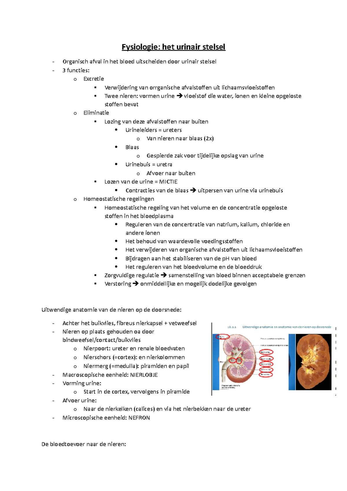 Samenvatting urinair stelsel - Fysiologie: het urinair stelsel ...