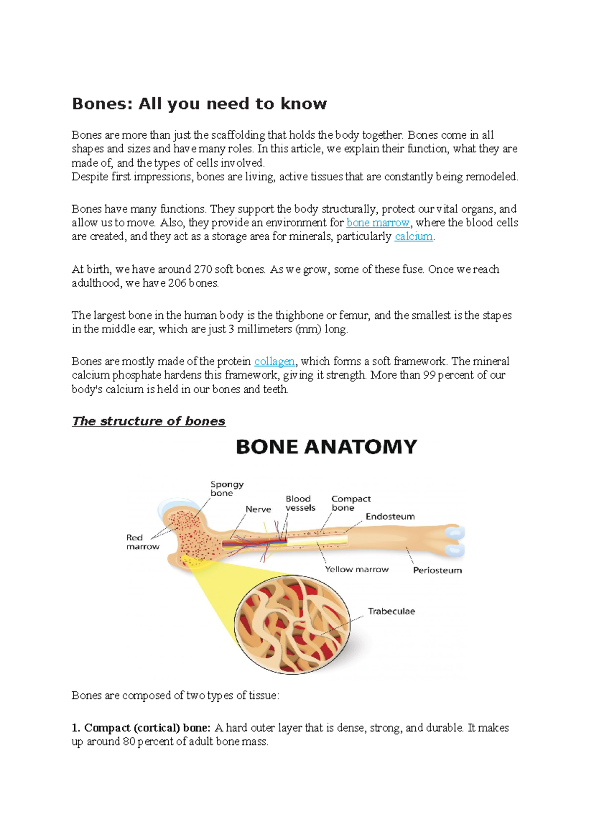 Bones - Tutoria - Bones: All you need to know Bones are more than just ...
