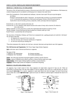 Earth AND LIFE Q1 W3 Rock Forming Minerals - Learner’s Activity Sheet ...