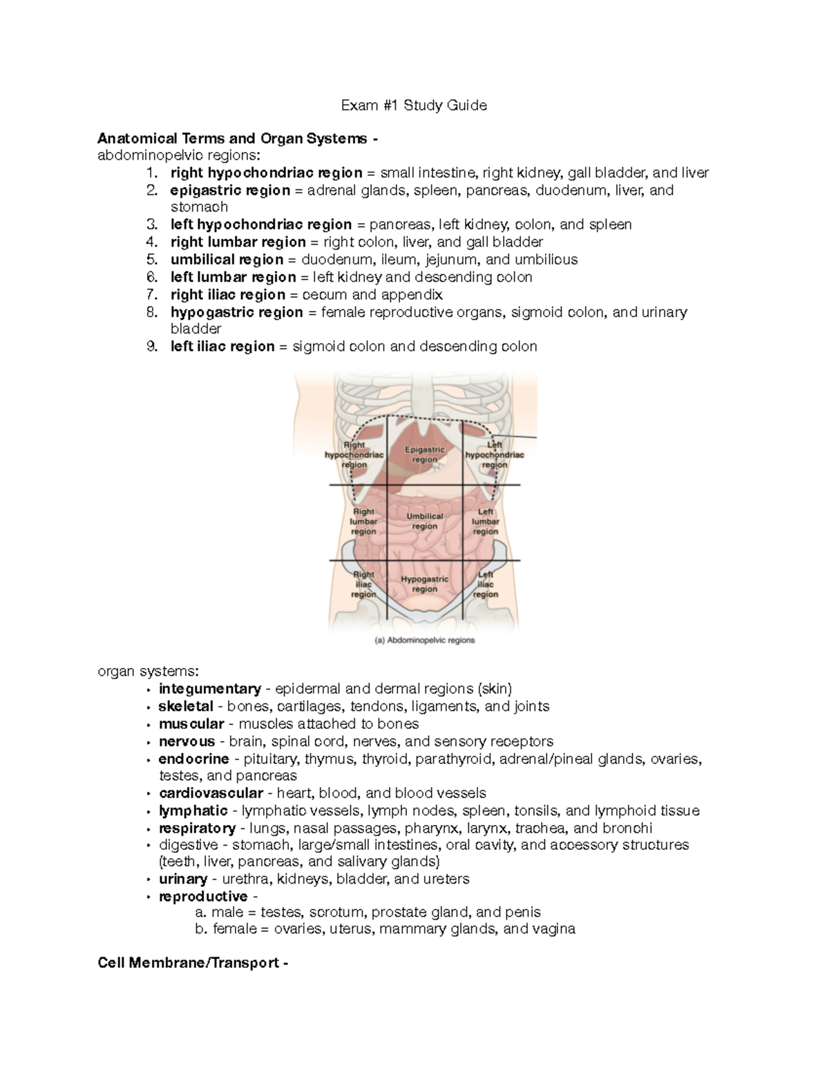 Exam 1 Study Guide Exam 1 Study Guide Anatomical Terms And Organ 