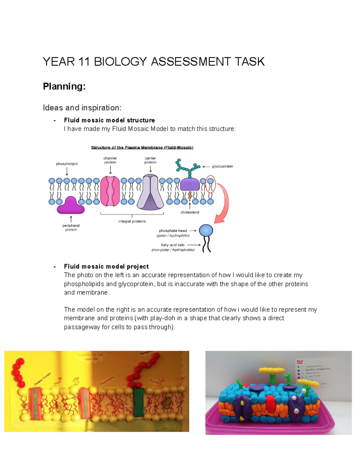 YEAR 11 Biology Assessment TASK - YEAR 11 BIOLOGY ASSESSMENT TASK ...