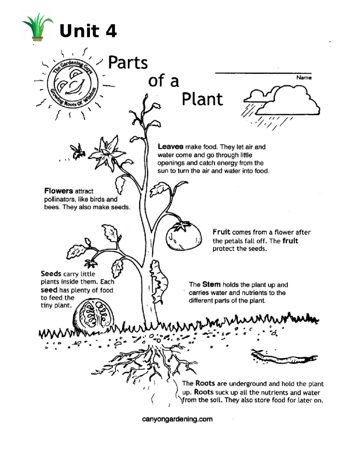 4th quarter plants - Summary College of Education - CARING FOR PLANTS ...