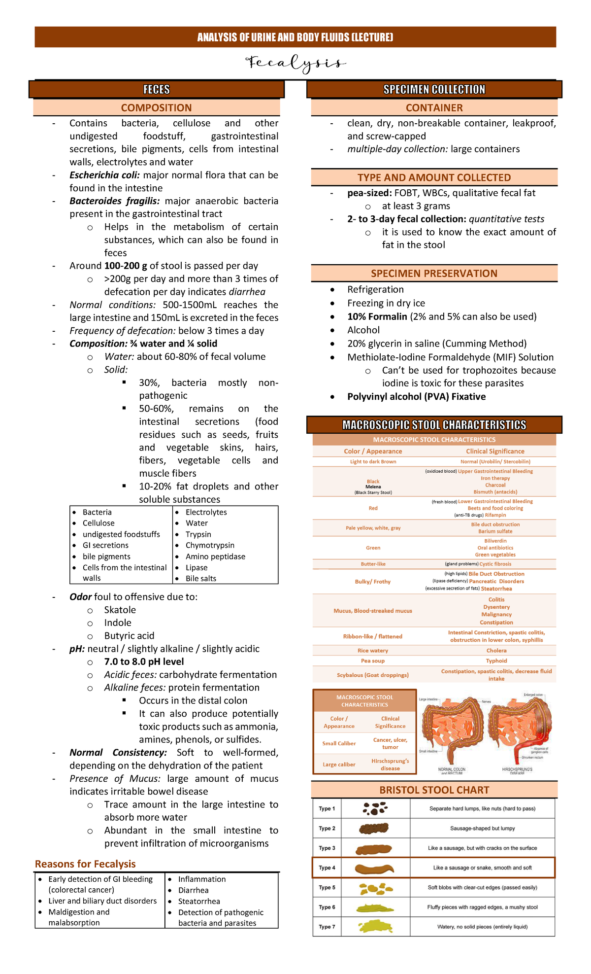 Lecture Lesson 8. Fecalysis - COMPOSITION - Contains bacteria ...