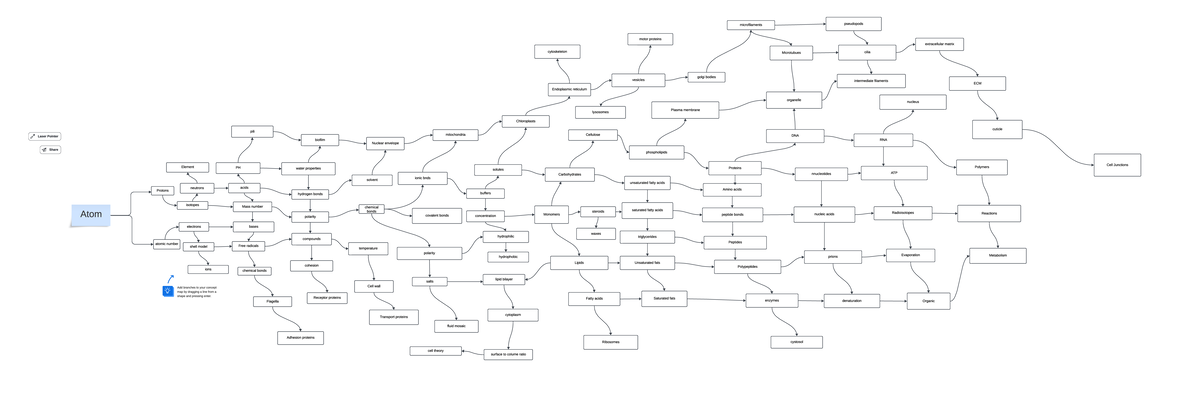 Module 2 concept map - Atom Add branches to your concept map by dragging a line from a shape and ...